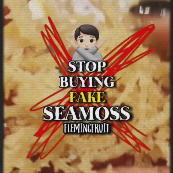 Organic Wildcrafted Elderberry Seamoss Gel – Fleming Fruit