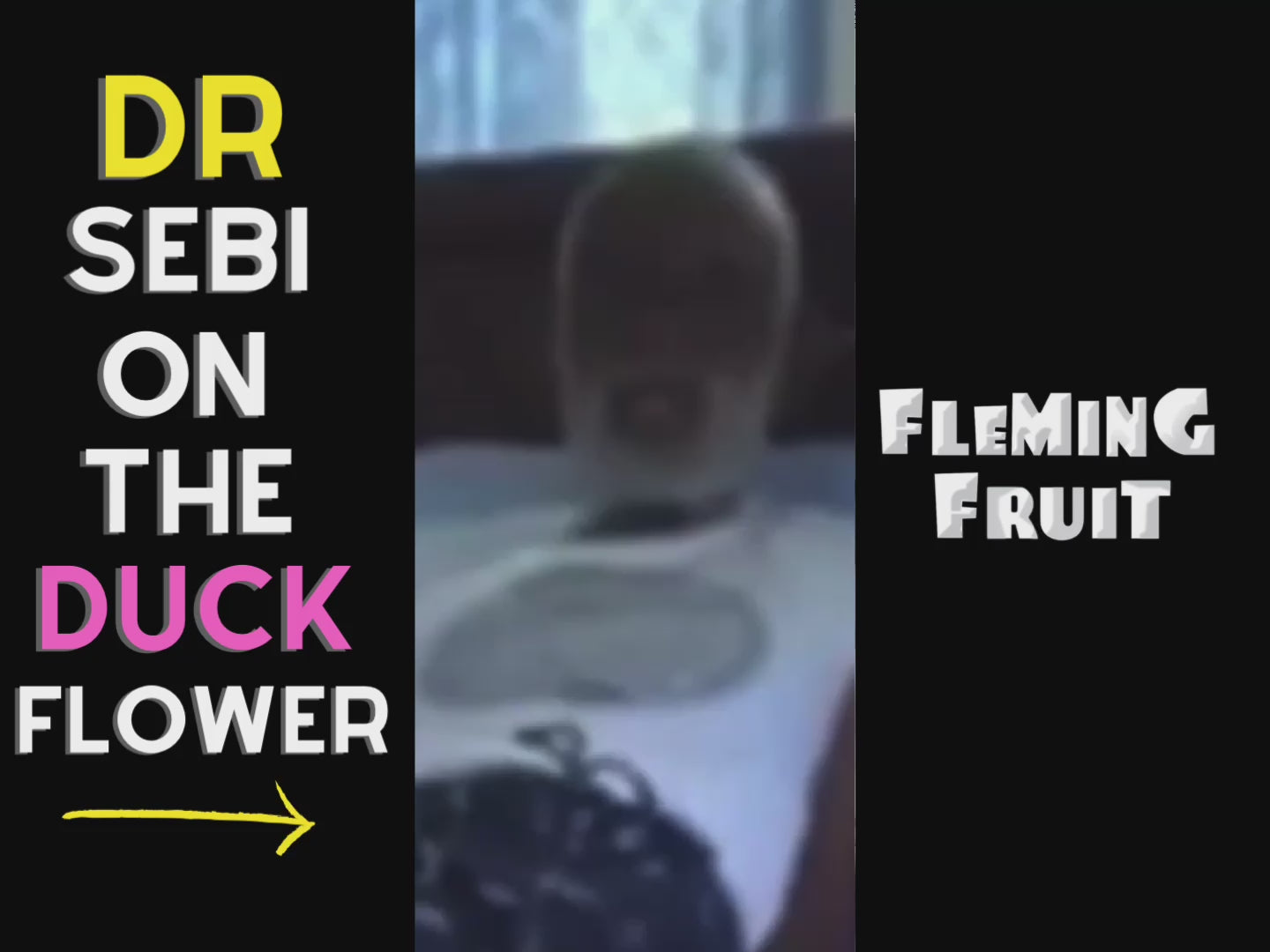 Organic Wildcrafted Jamaican Duck Flower – Fleming Fruit